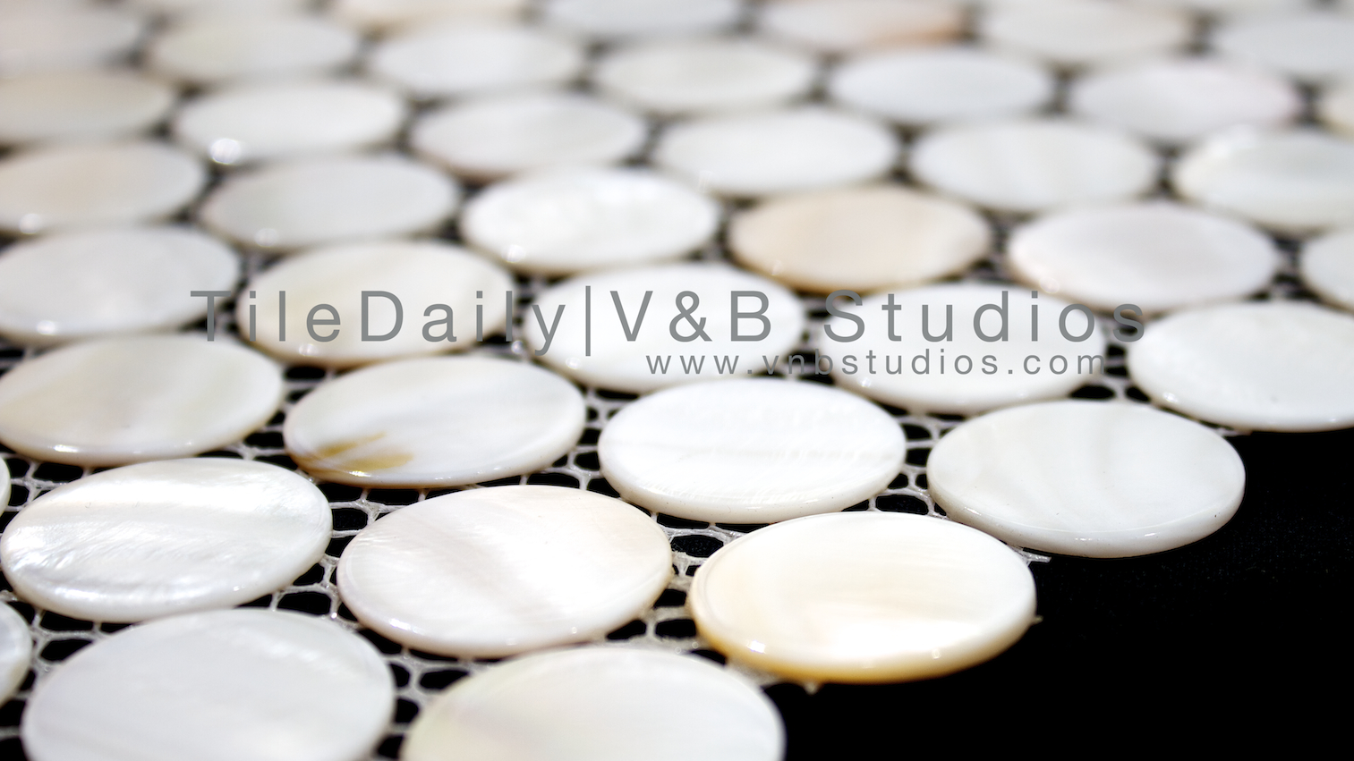 Shell Penny Round Mosaic – tiledaily