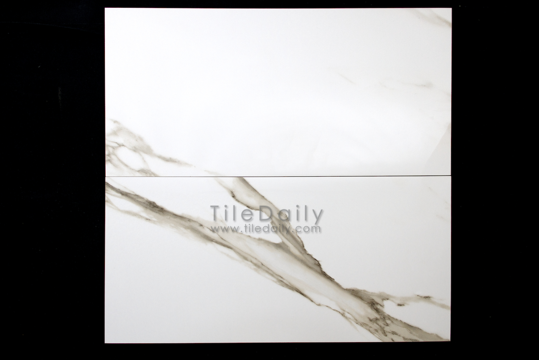 Calacatta White Porcelain Tile – tiledaily